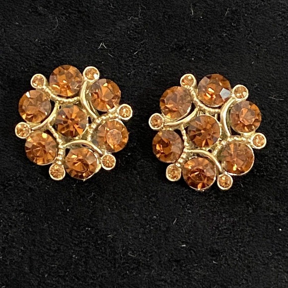Lisner Jewelry | Jewelry | Vintage Lisner Clip On Earrings Amber Brown ...